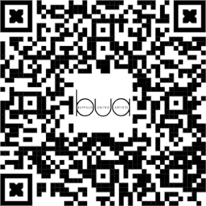 Donate to BUA – Buffalo United Artists (BUA)